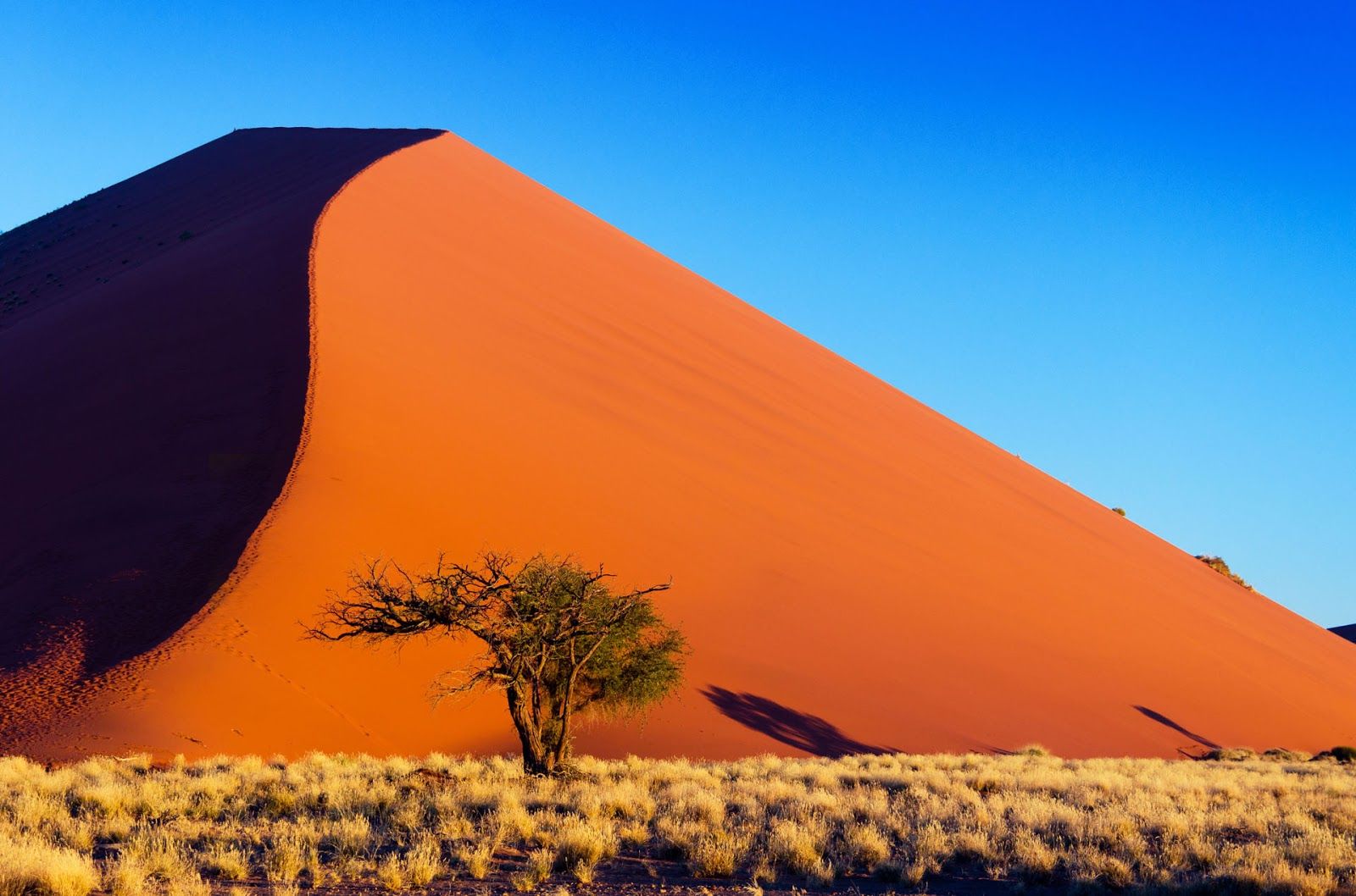 Things To Do In Namibia | Rough Guides