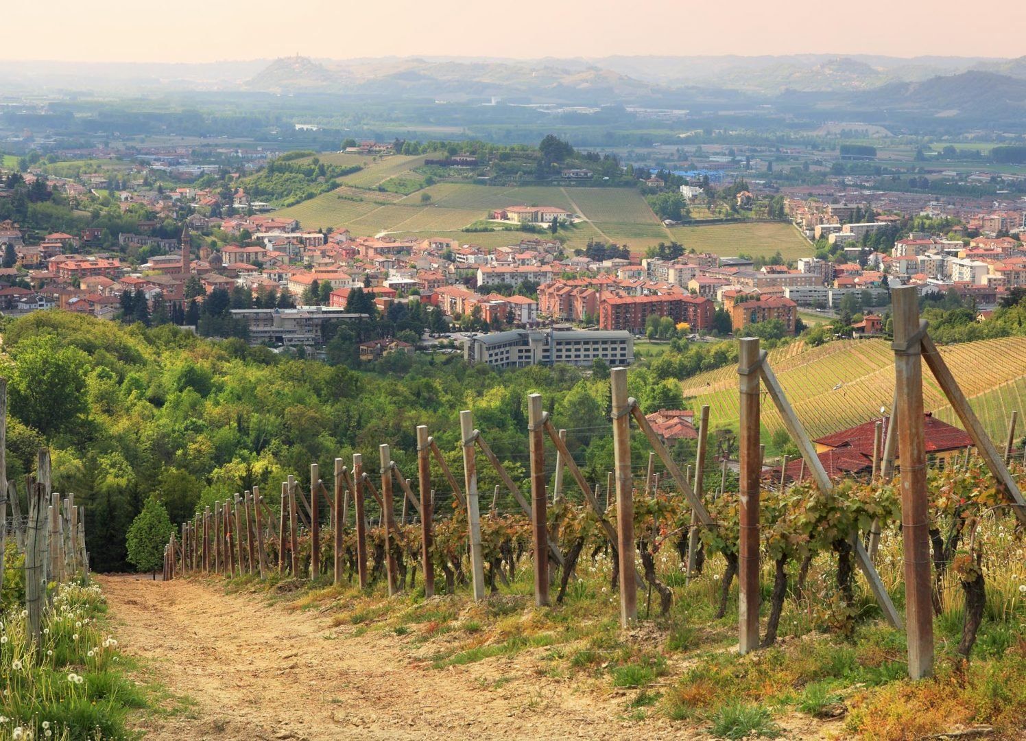 Alba Travel Guide | What to do in Alba | Rough Guides