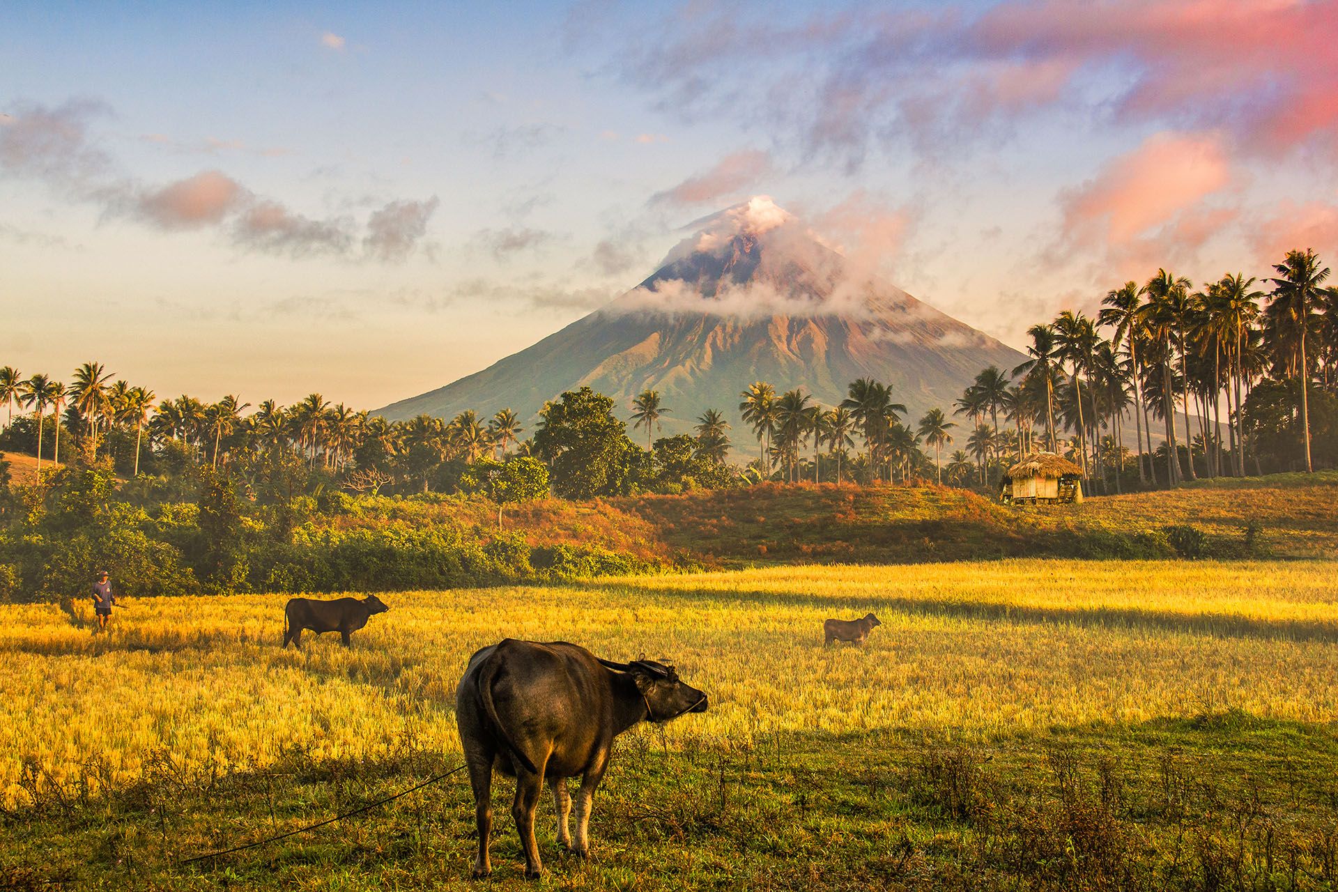 Mayon Volcano | Tips for climbing Mayon | Rough Guides